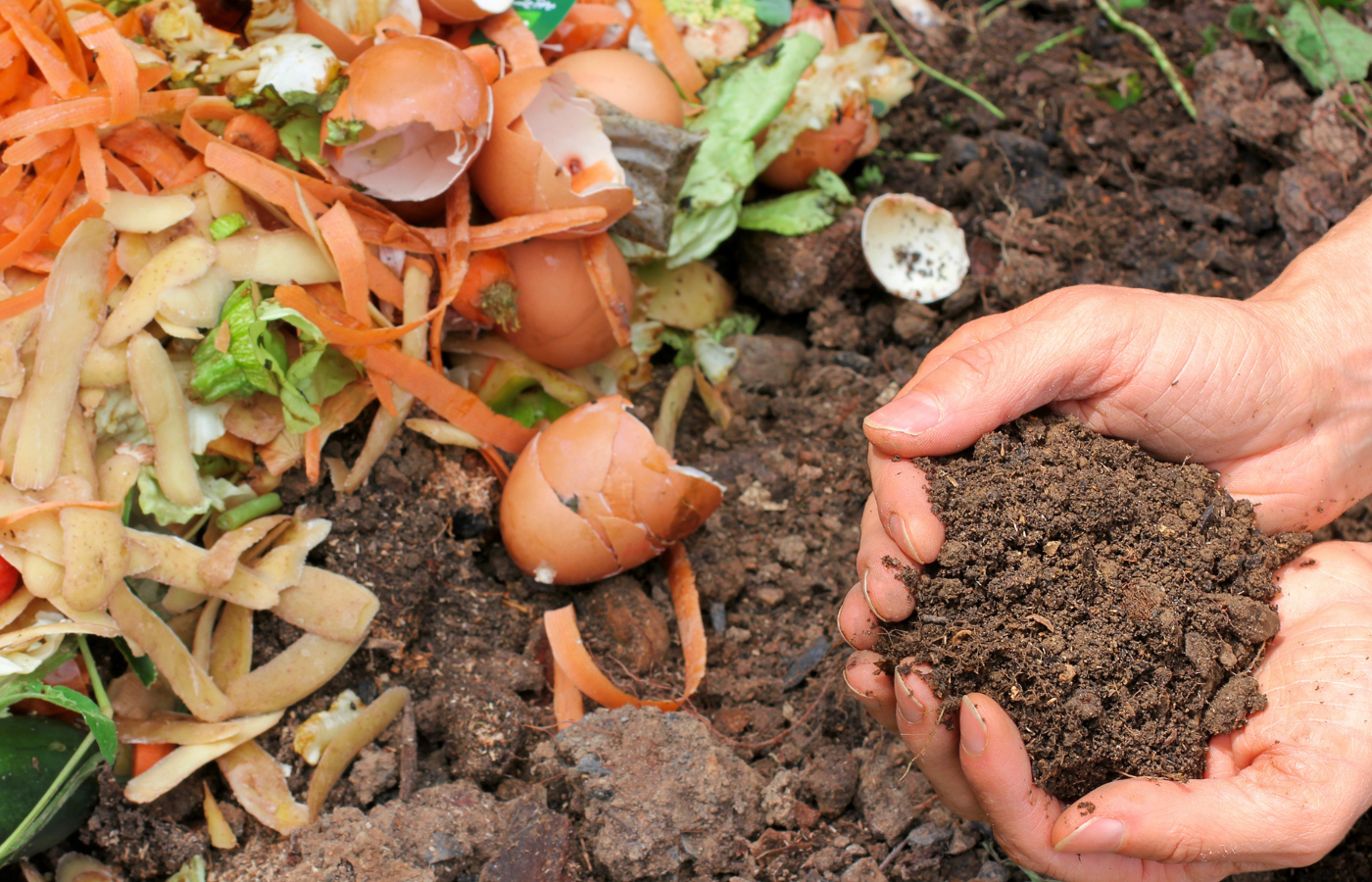 Embracing Circularity: Singapore’s Model of Sustainability and ...